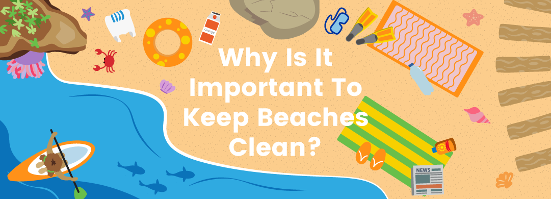 Why Are Beach Cleans Important? | Great British Beach Clean – Bigjigs Toys