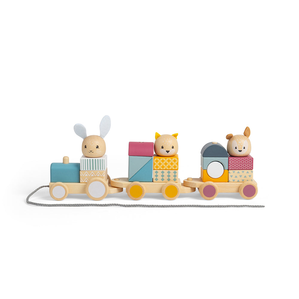 FSC® Certified Wooden Pull Along Toy Train | Bigjigs Toys