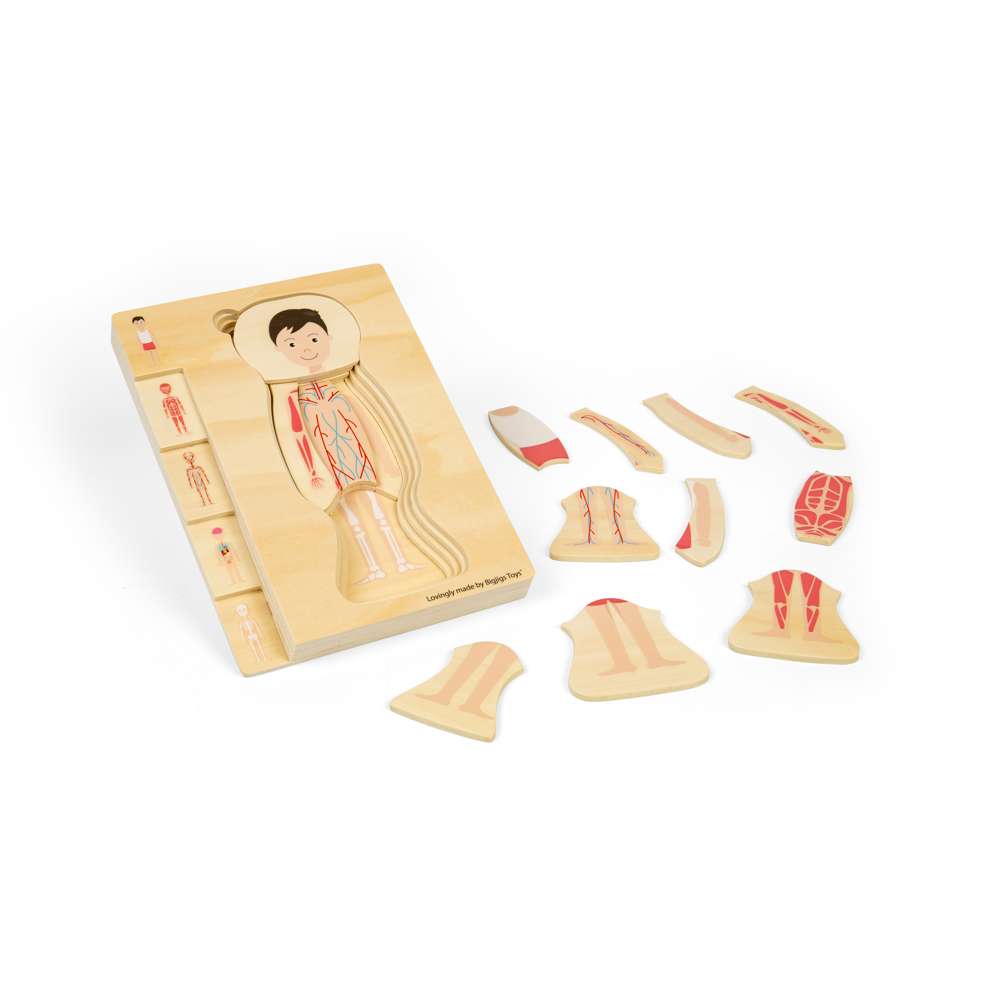 Male Human Anatomy Puzzle | Wooden Puzzles | Bigjigs Toys