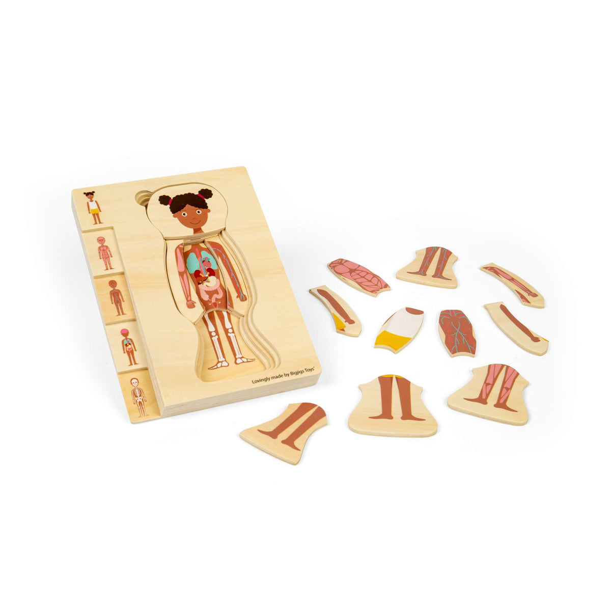 Female Anatomy Puzzle | Wooden Puzzles | Bigjigs Toys