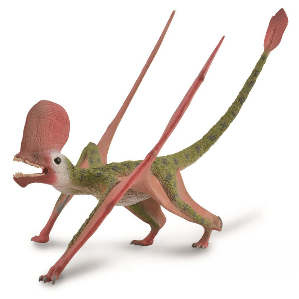 Caviramus with Movable Jaw | CollectA | Bigjigs Toys