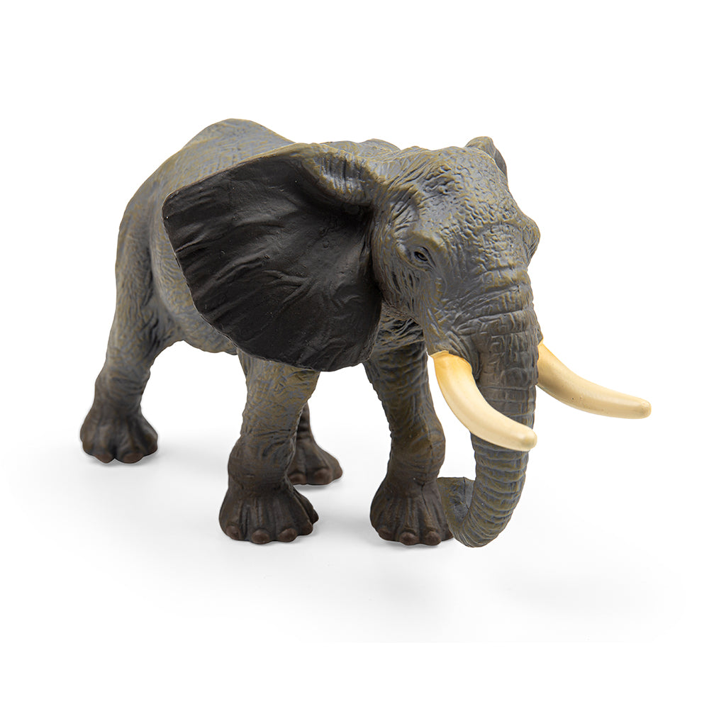 African Elephant Toy | CollectA | Bigjigs Toys