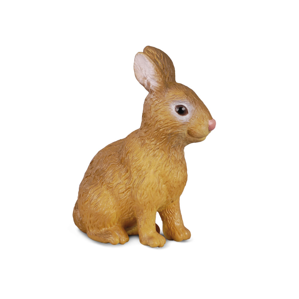Rabbit Figurine | CollectA Collectable Animal Figures – Bigjigs Toys