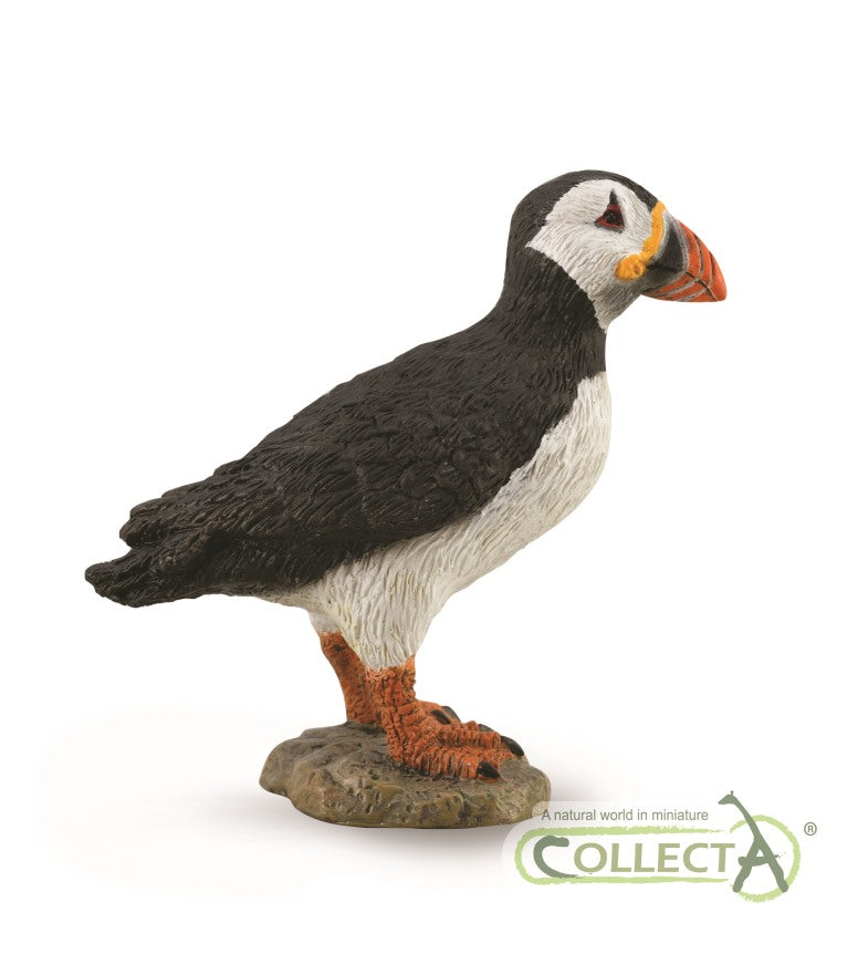 Puffin Figurine | CollectA | Collectable Animal Figure – Bigjigs Toys
