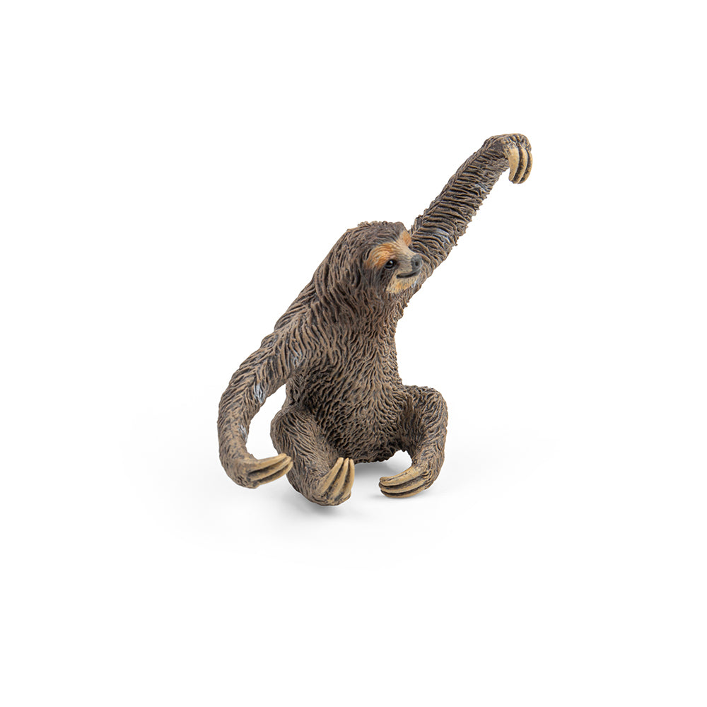 Sloth Figurine | CollectA | Collectable Animal Figure – Bigjigs Toys