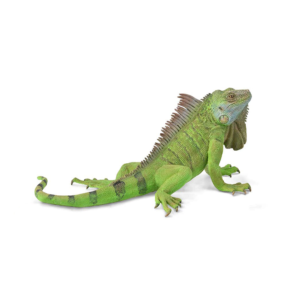 Iguana Toy | CollectA | Bigjigs Toys