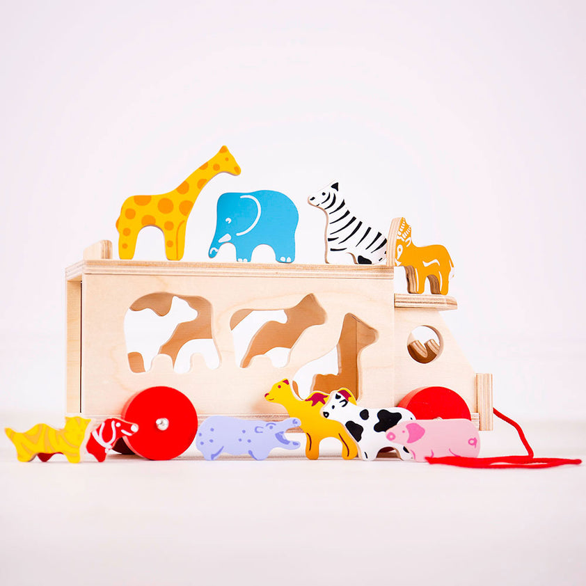 Animal Shape Lorry | Wooden Shape Sorter | Bigjigs Toys