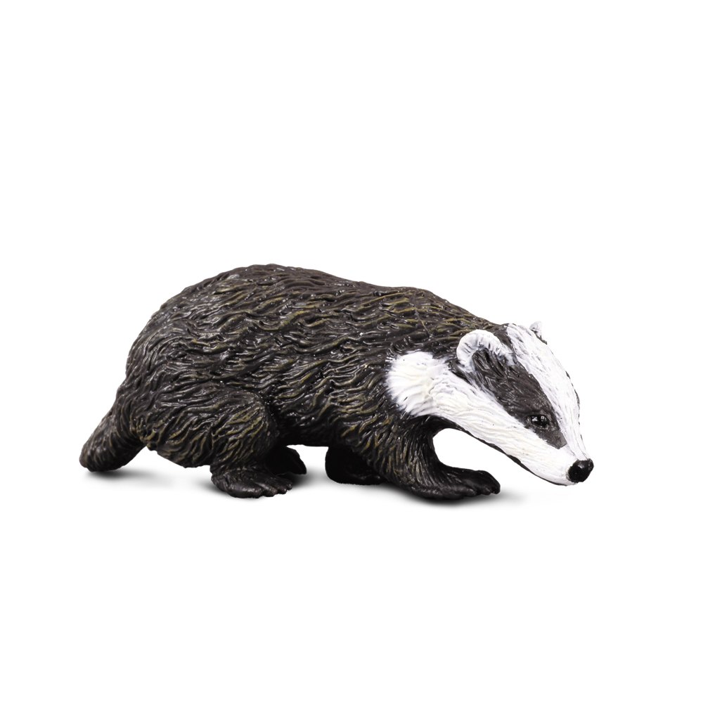 Eurasian Badger Figurine | CollectA Collectable Animal Figure – Bigjigs ...