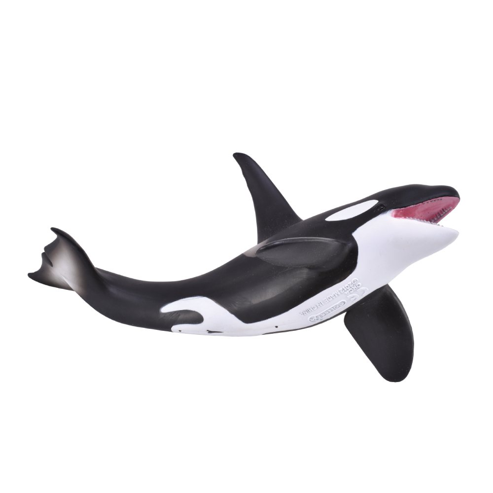 Orca Figurine | CollectA Collectable Animal Figures – Bigjigs Toys