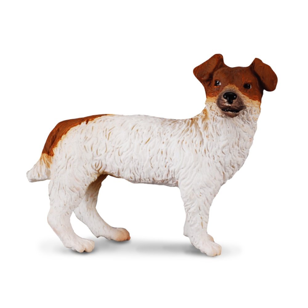 Jack Russell Terrier Figurine | CollectA Animal Figure – Bigjigs Toys