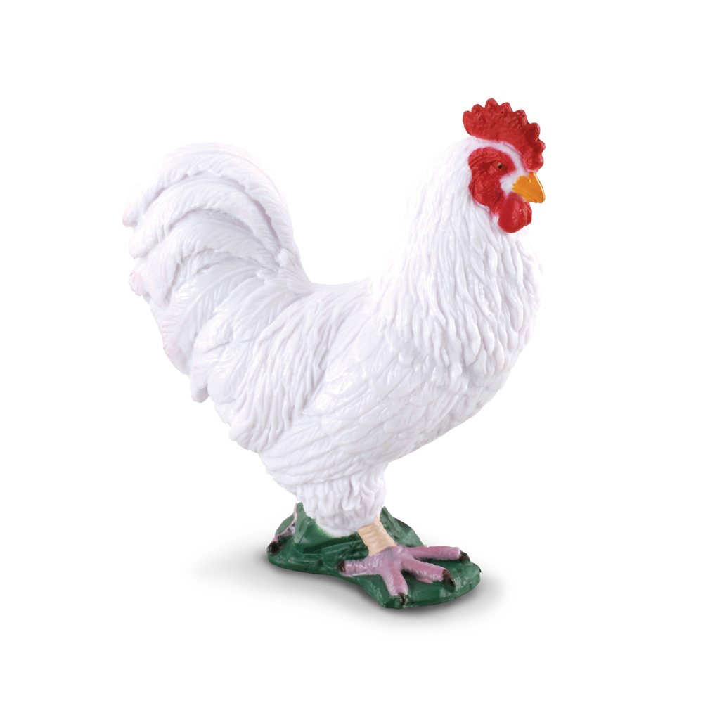 Cockerel White Figurine | CollectA Collectable Animal Figures – Bigjigs ...