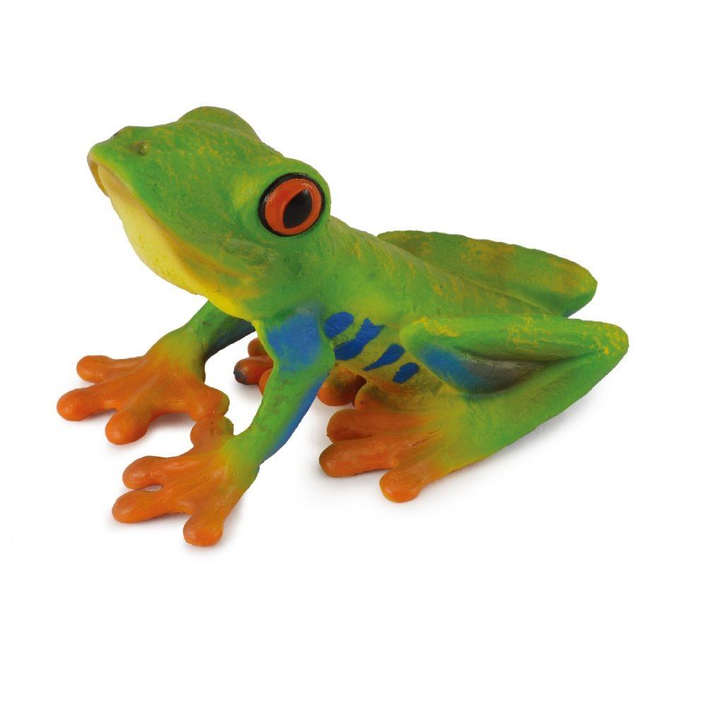 Red Eyed Tree Frog Figurine | CollectA Collectable Animals – Bigjigs Toys