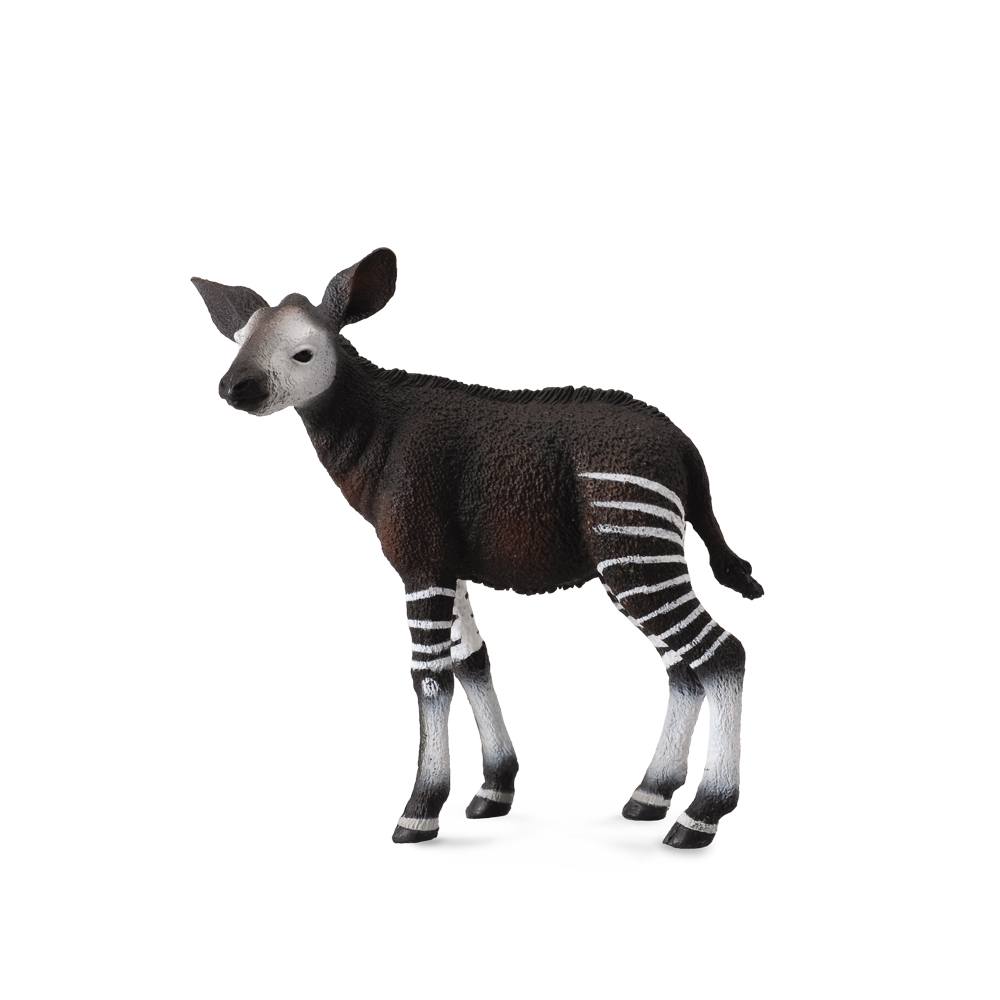 Okapi Calf Figurine | CollectA Collectable Animal Figures – Bigjigs Toys