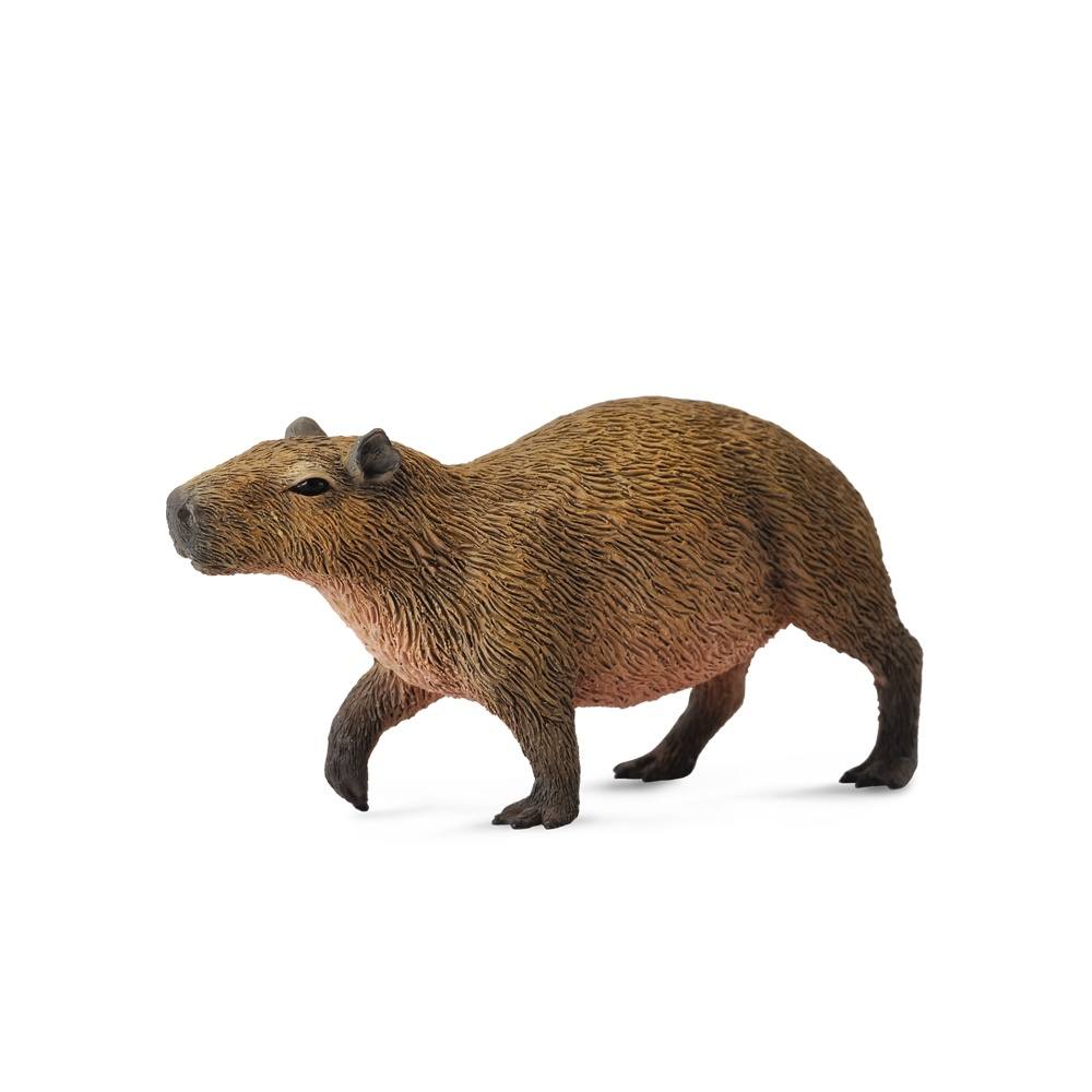 Capybara Figurine | CollectA Collectable Animal Figures – Bigjigs Toys