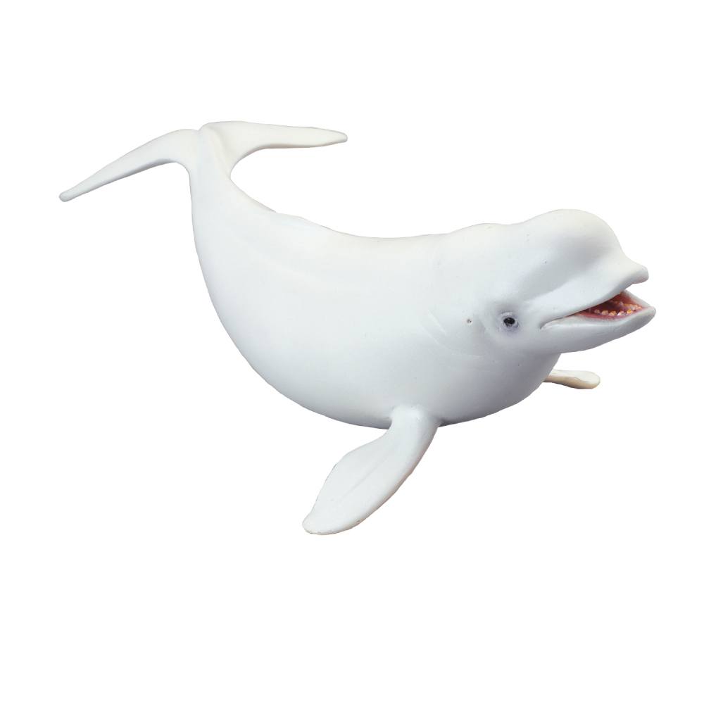 Beluga Whale Figurine | CollectA Collectable Animal Figures – Bigjigs Toys