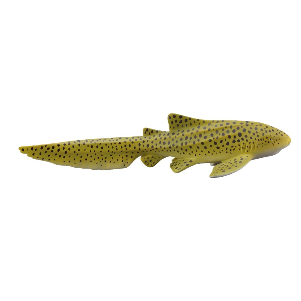 Zebra Shark Figurine | CollectA Collectable Animal Figures – Bigjigs Toys