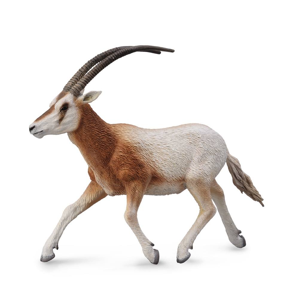 Scimitar Horned Oryx Figurine | CollectA Collectable Figures – Bigjigs Toys