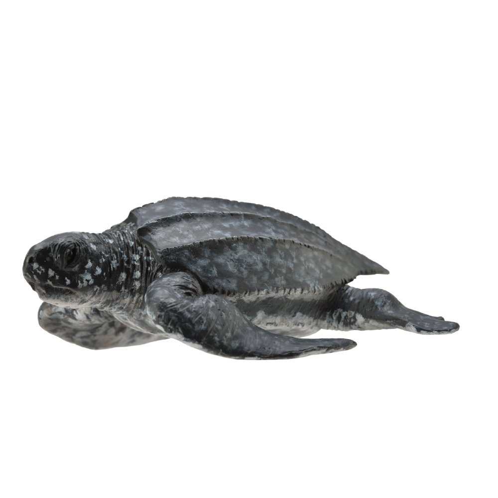 Leatherback Sea Turtle Figurine | CollectA Animal Figures – Bigjigs Toys