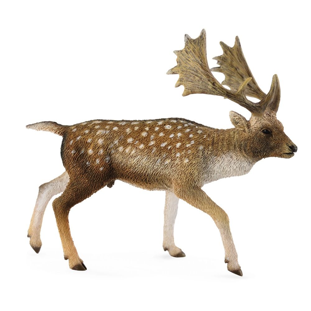 Fallow Deer Male Figurine | CollectA Collectable Figures – Bigjigs Toys