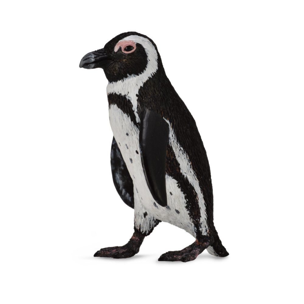 South African Penguin Figurine | CollectA Animal Figures – Bigjigs Toys