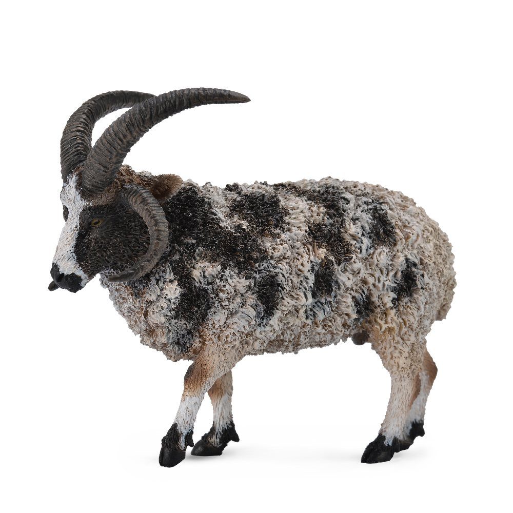Jacob Sheep Figurine | CollectA Collectable Animal Figures – Bigjigs Toys