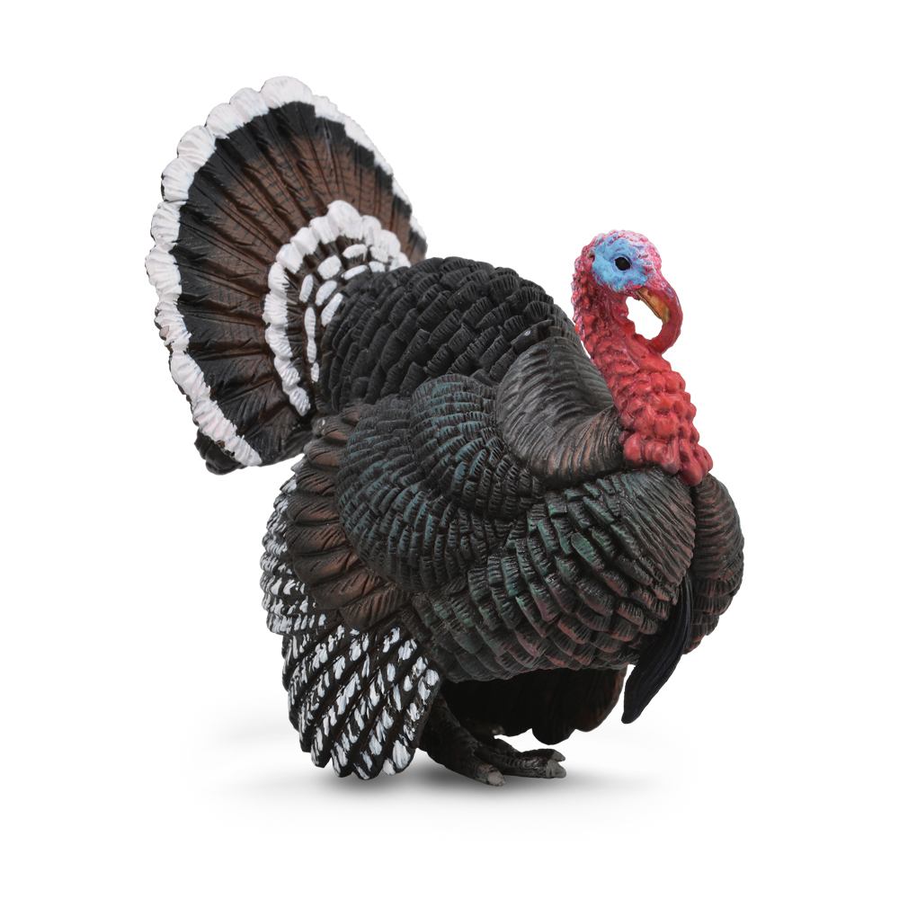 Turkey Figurine | CollectA Collectable Animal Figures – Bigjigs Toys