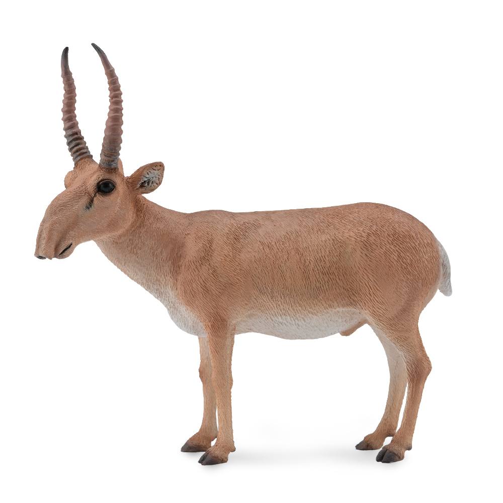 Saiga-Antelope Figurine | CollectA Collectable Animal Figure – Bigjigs Toys